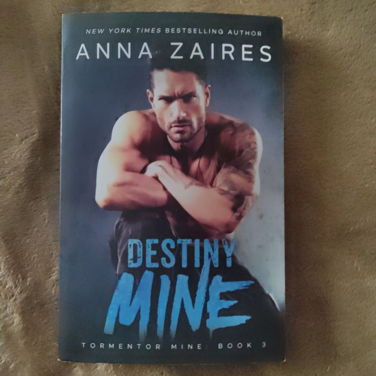 Destiny Mine by Anna Zaires, Dima Zales