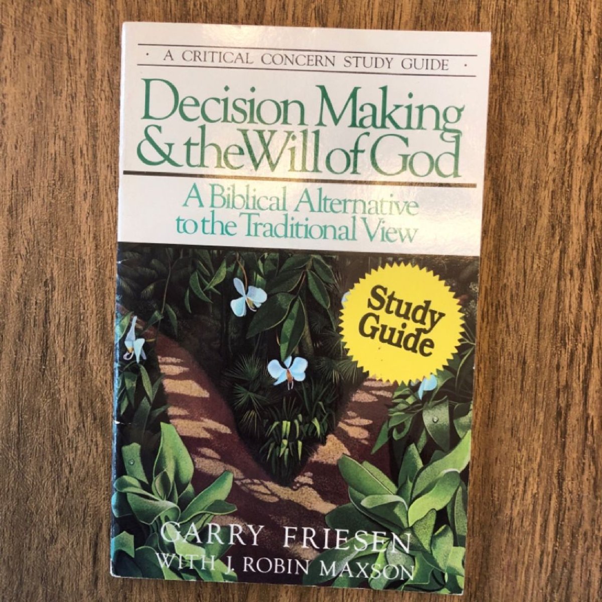 Decision Making and the Will of God by Garry Friesen, J. Robin Maxson