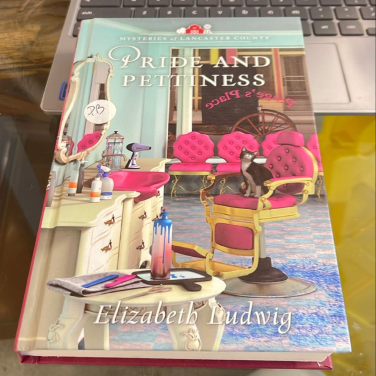 Pride & Pettiness by Elizabeth Ludwig , Hardcover | Pangobooks