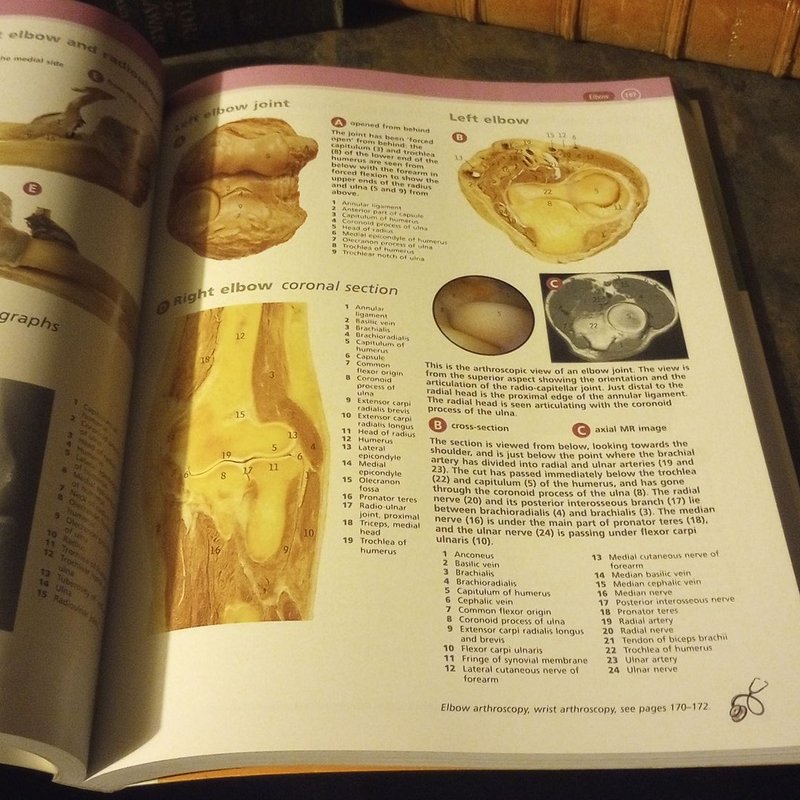 McMinn and Abrahams' Clinical Atlas of Human Anatomy by Peter H ...