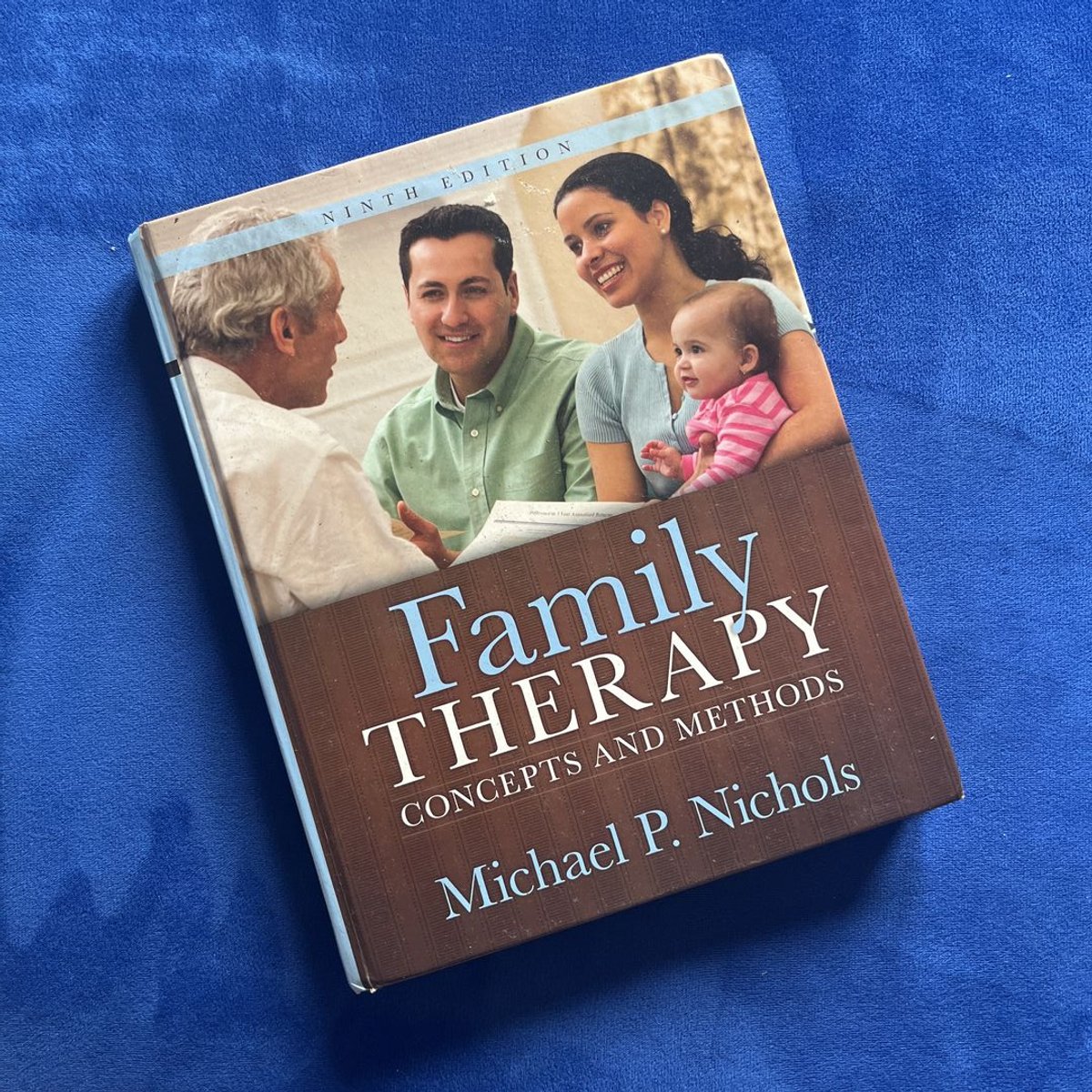 Family Therapy by Michael Nichols, Sean Davis
