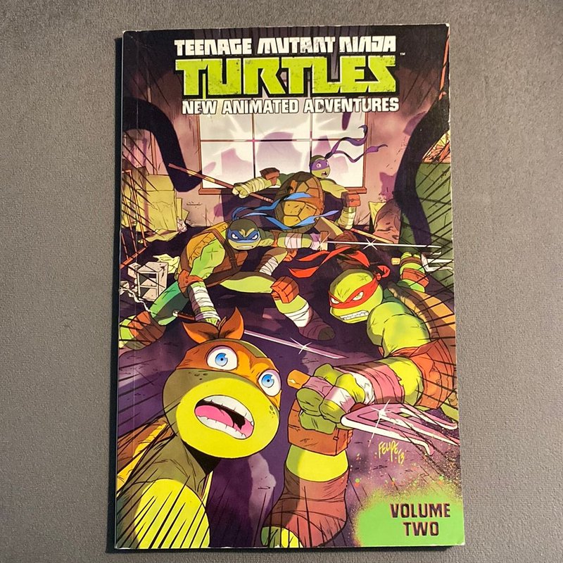 Teenage Mutant Ninja Turtles: New Animated Adventures Volume 2 by Kenny ...