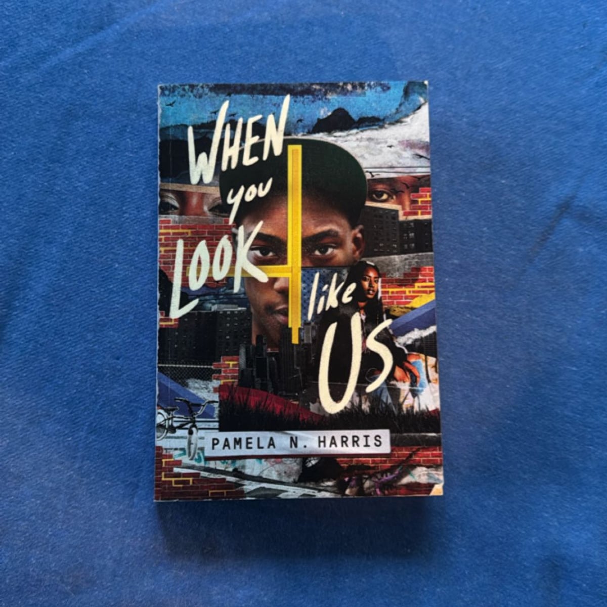 When You Look Like Us by Pamela N. Harris