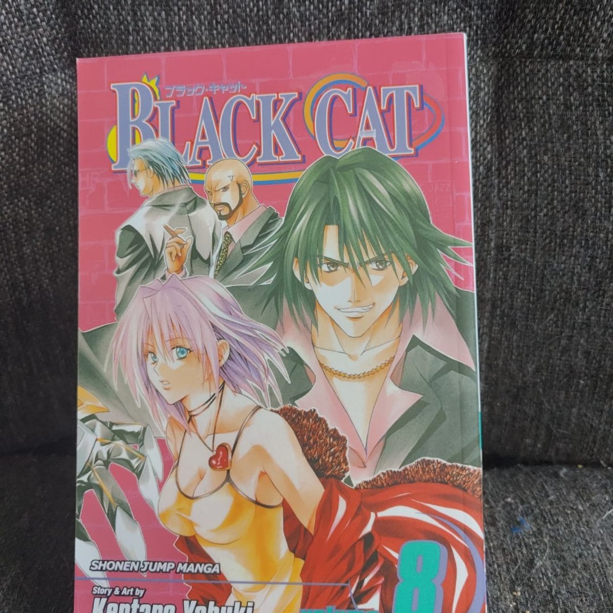 Black Cat, Vol. 8 by Kentaro Yabuki