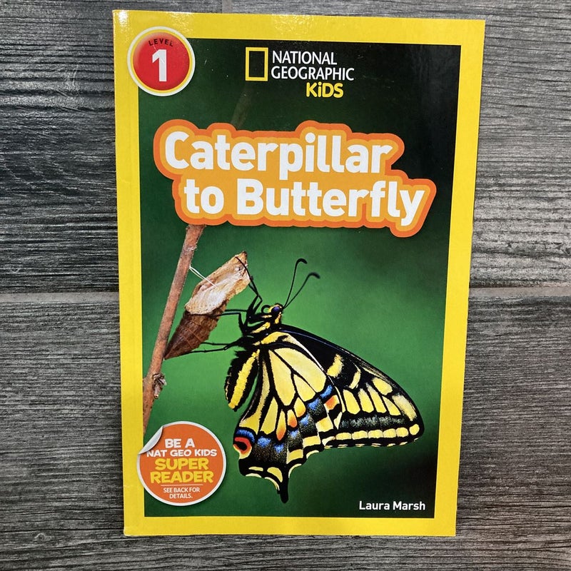 National Geographic Readers: Caterpillar to Butterfly