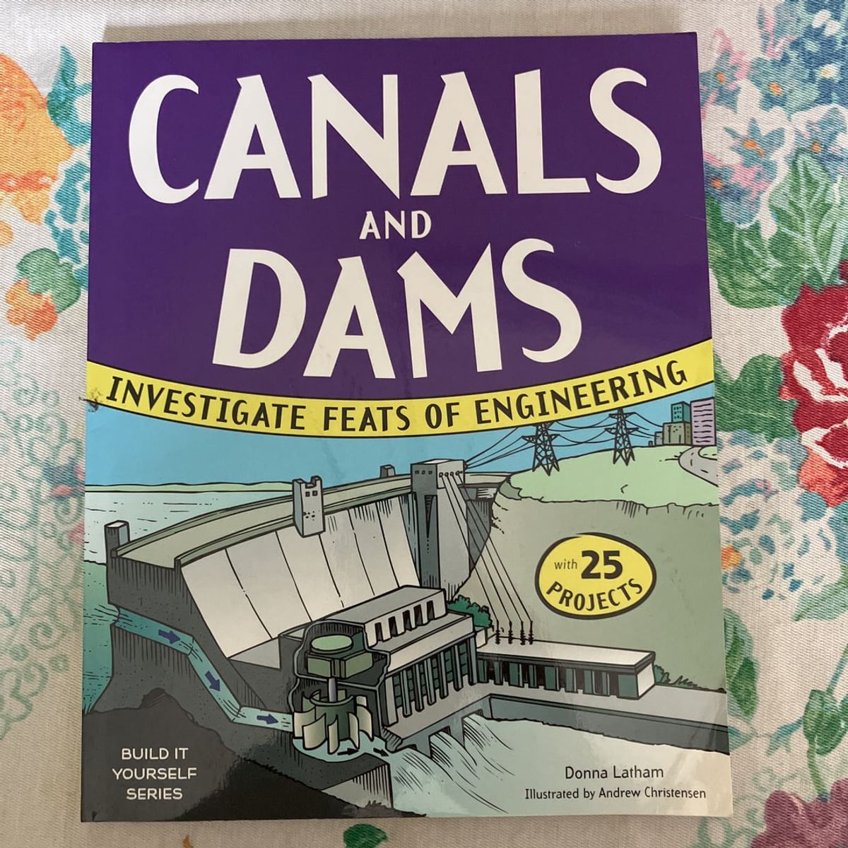 Canals and Dams by Donna Latham