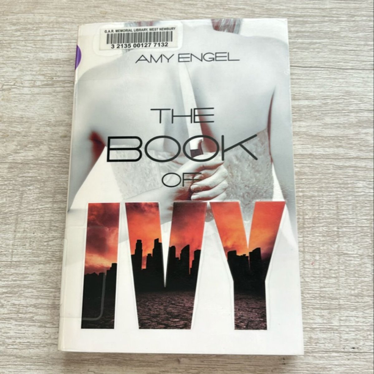 The Book of Ivy by Amy Engel