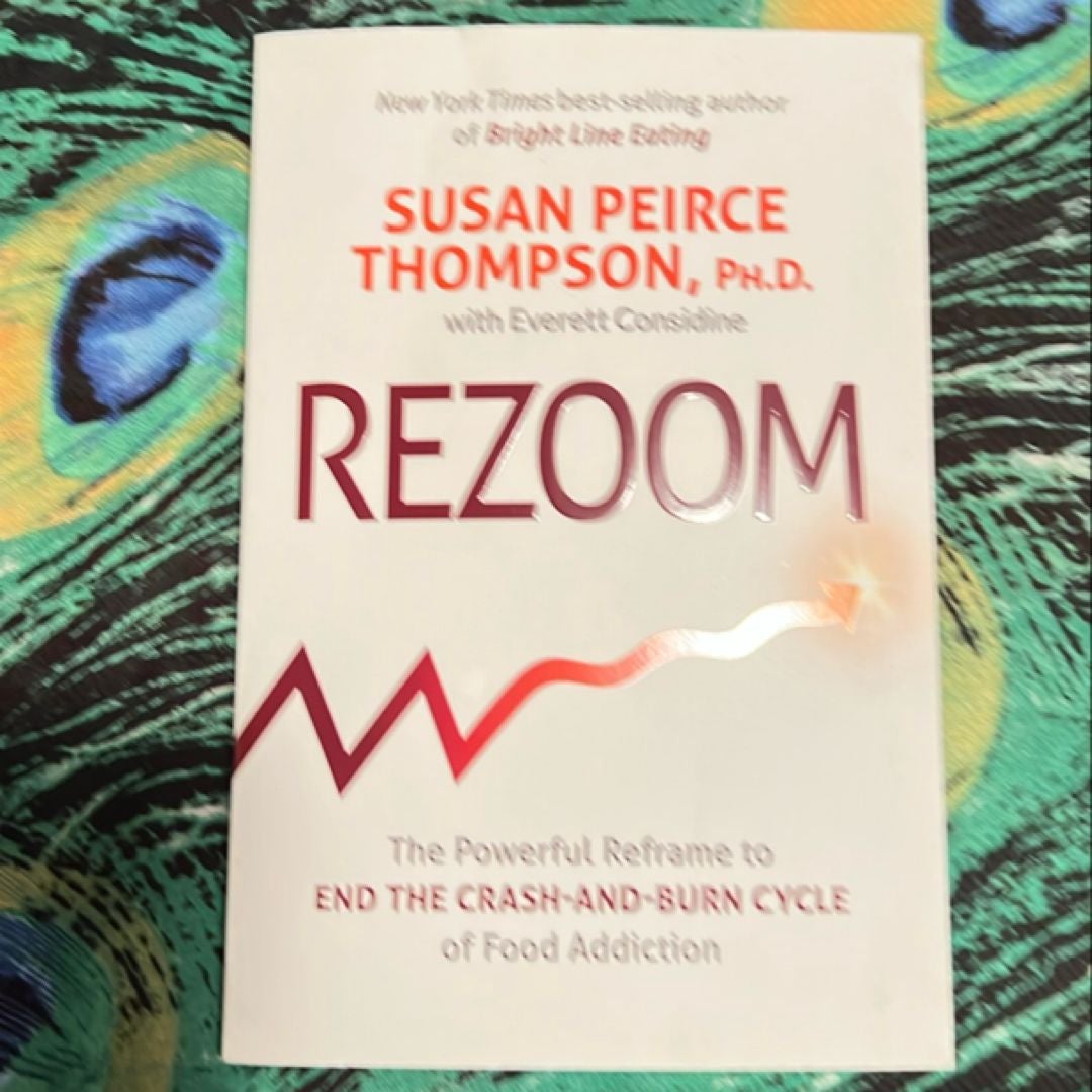 Rezoom by Susan Peirce Thompson, Everett Considine