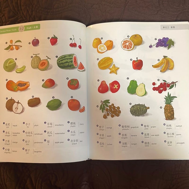 McGraw-Hill's Chinese Illustrated Dictionary by Live ABC, Hardcover ...