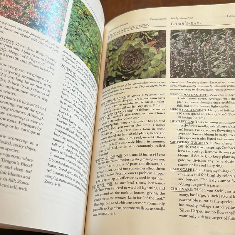 Lawns, Grasses and Groundcovers by Lewis Hill, Paperback | Pangobooks