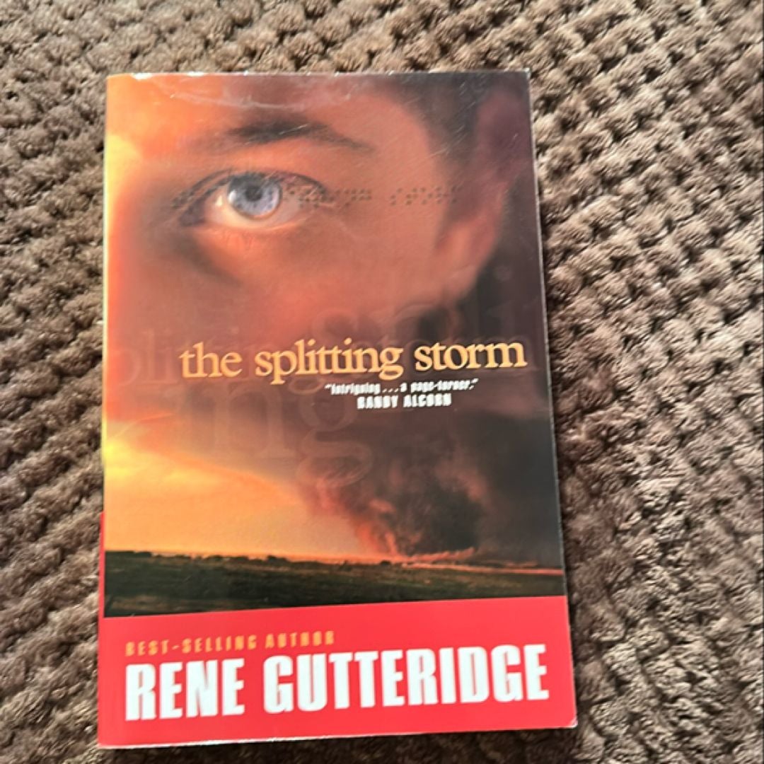 The Splitting Storm by Rene Gutteridge