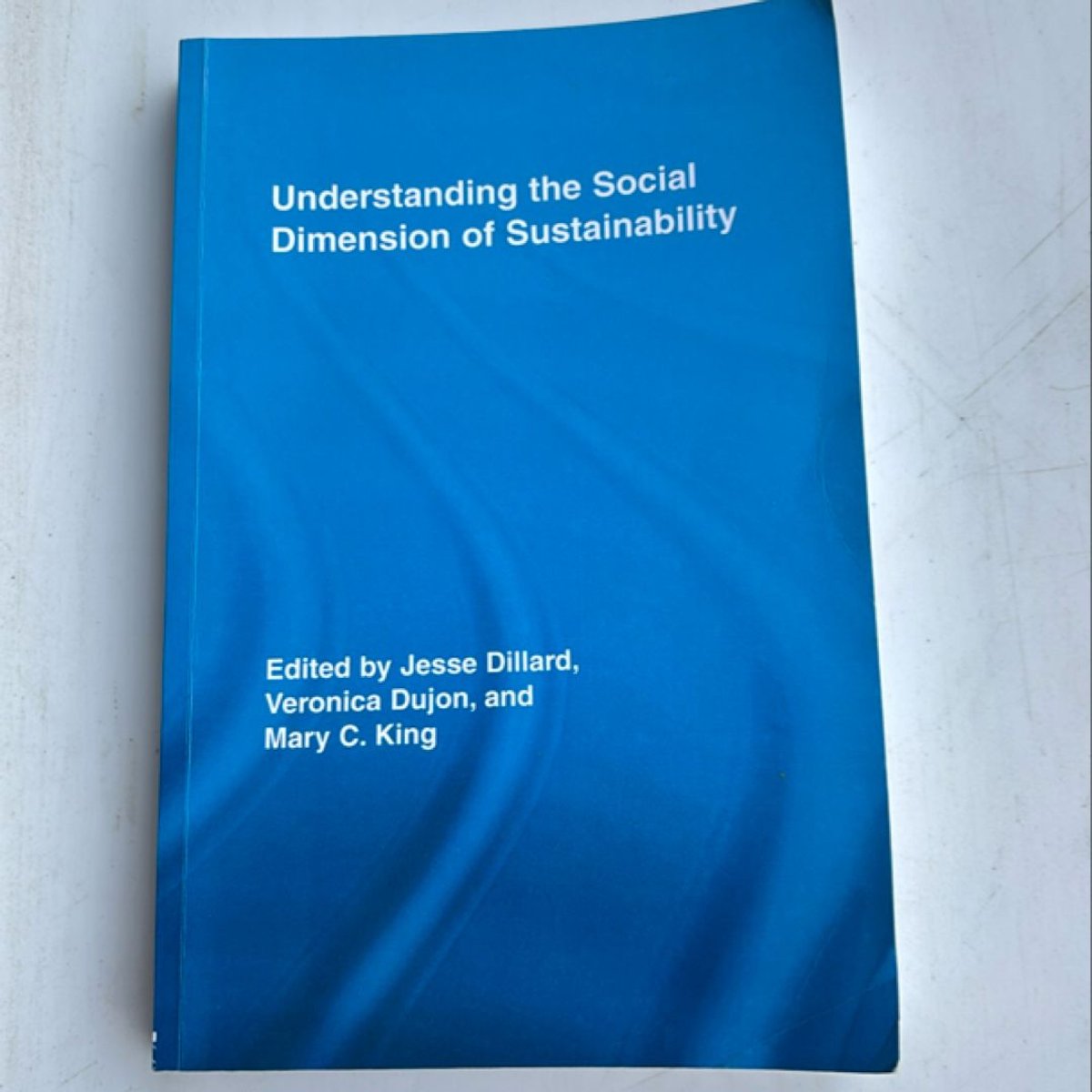 Understanding the Social Dimension of Sustainability by Jesse Dillard