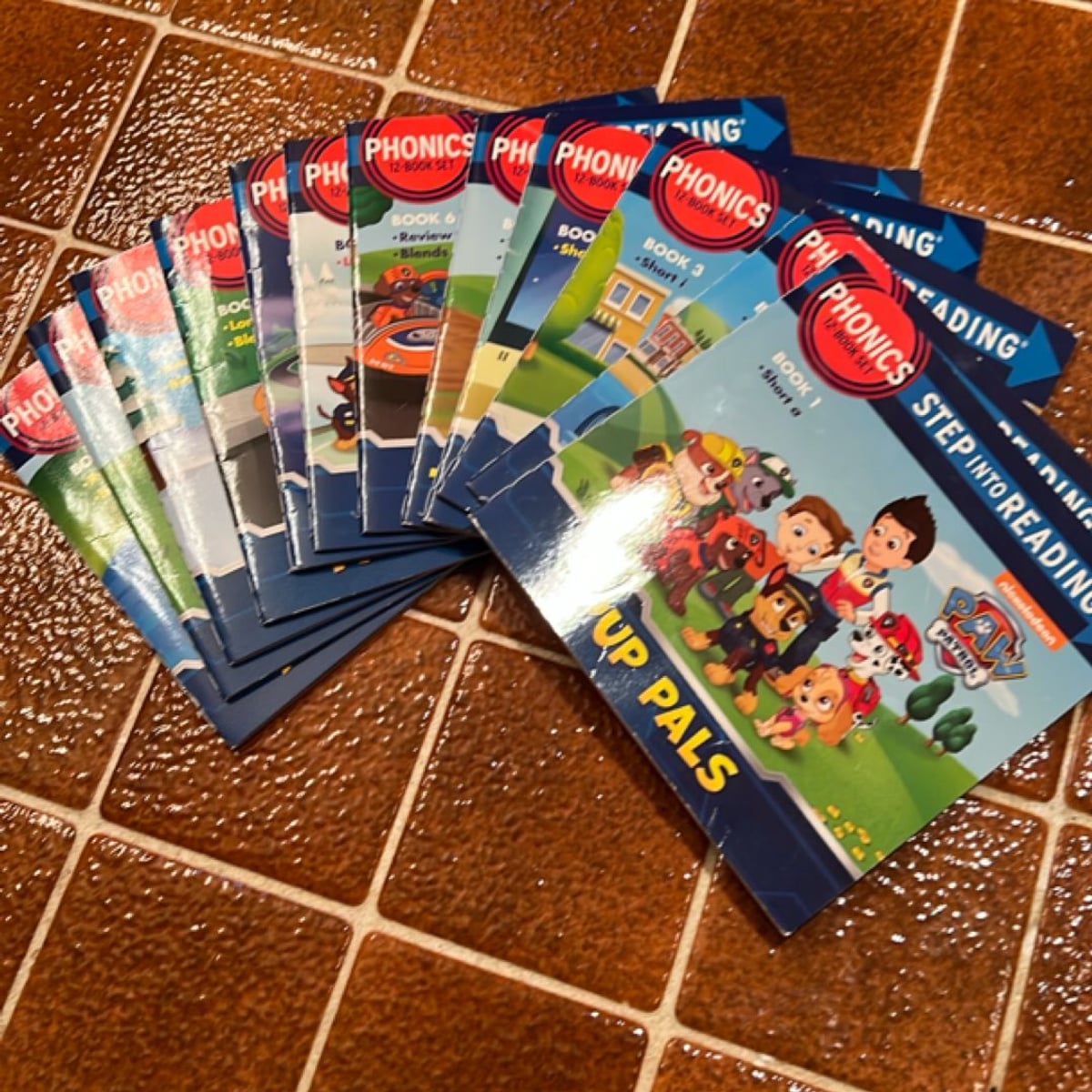 Phonics Patrol! (PAW Patrol) by Jennifer Liberts