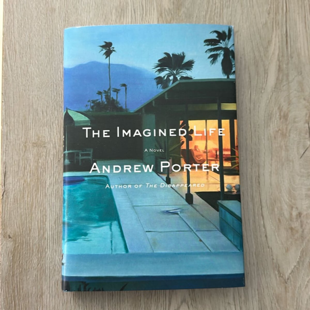 The Imagined Life by Andrew Porter