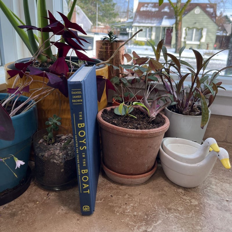 The Boys in the Boat (Young Readers Adaptation) by Daniel James Brown