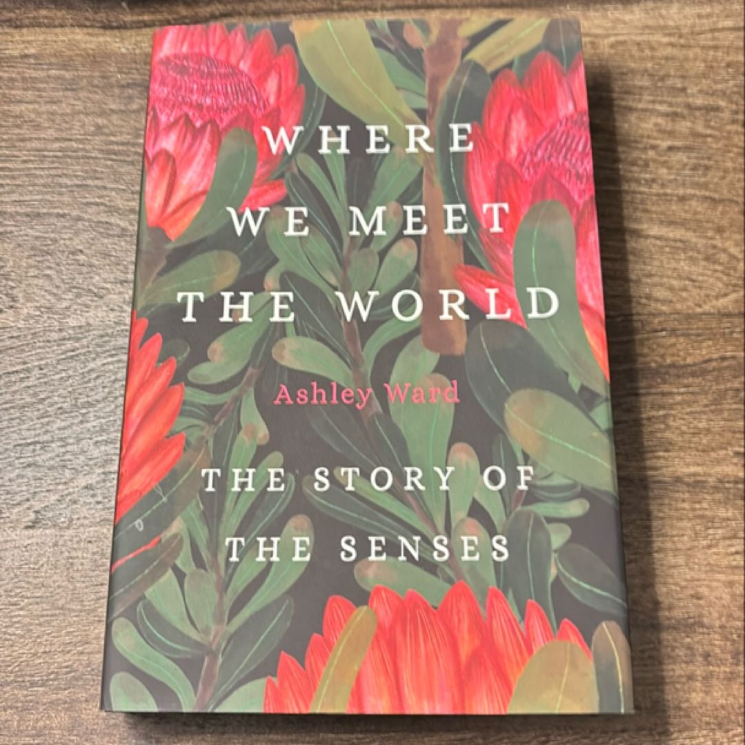Where We Meet the World by Ashley Ward, Hardcover | Pangobooks