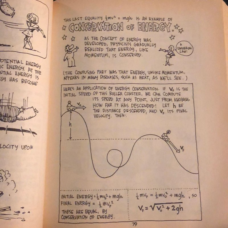 The Cartoon Guide to Physics by Larry Gonick