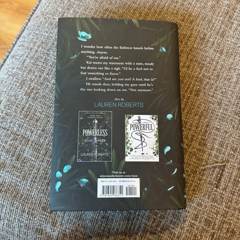 Reckless (Barnes and Noble Exclusive) by Lauren Roberts, Hardcover ...