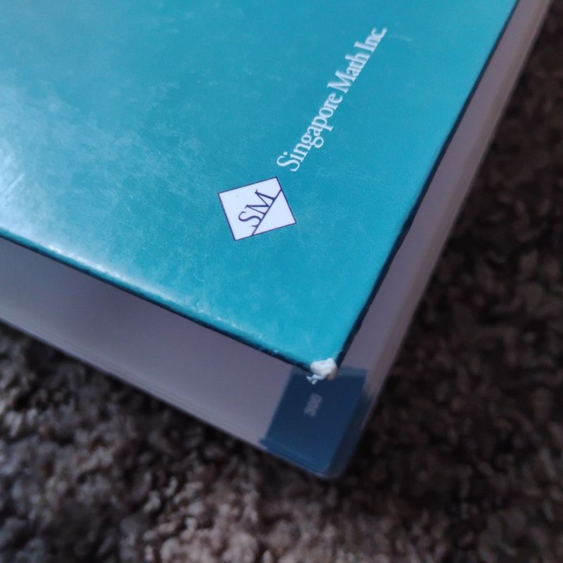 Dimensions Math Teacher's Guide 6A by Singapore Math Inc, Paperback | Pangobooks