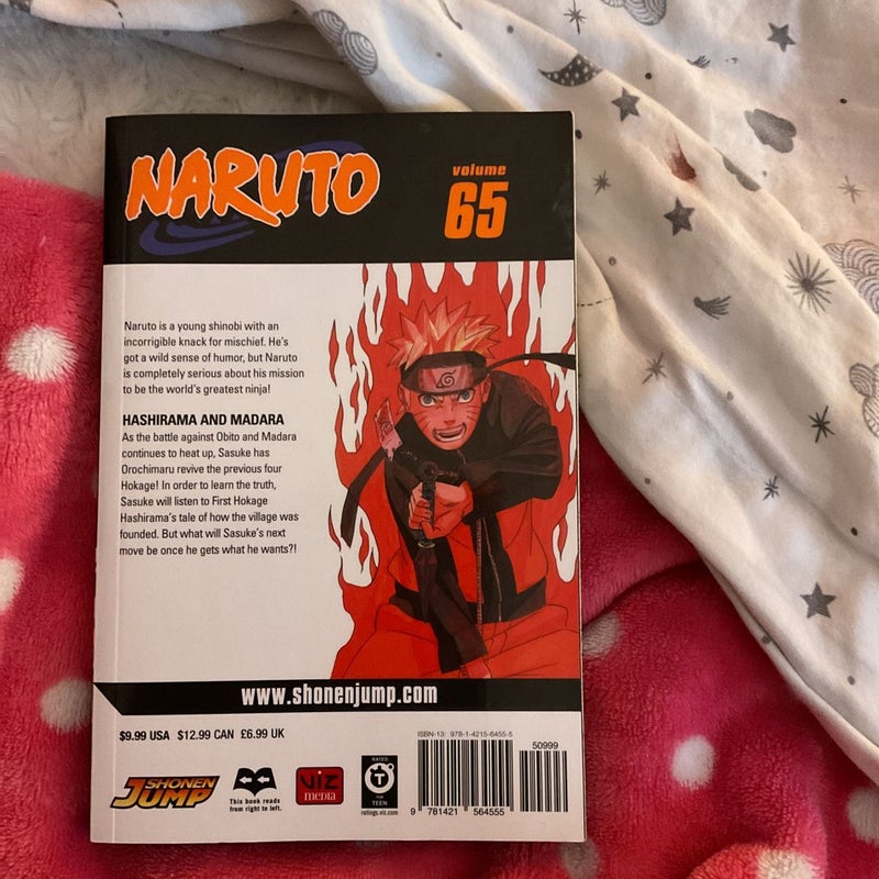 Naruto, Vol. 65 by Masashi Kishimoto, Paperback | Pangobooks