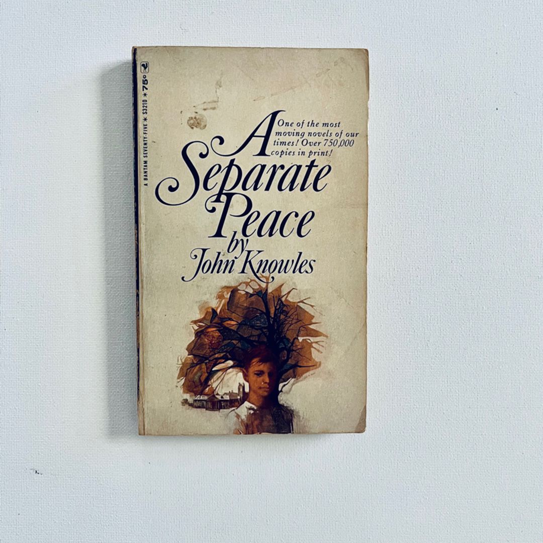 A Separate Peace 1968 Macmillan Company by John Knowles, Paperback ...