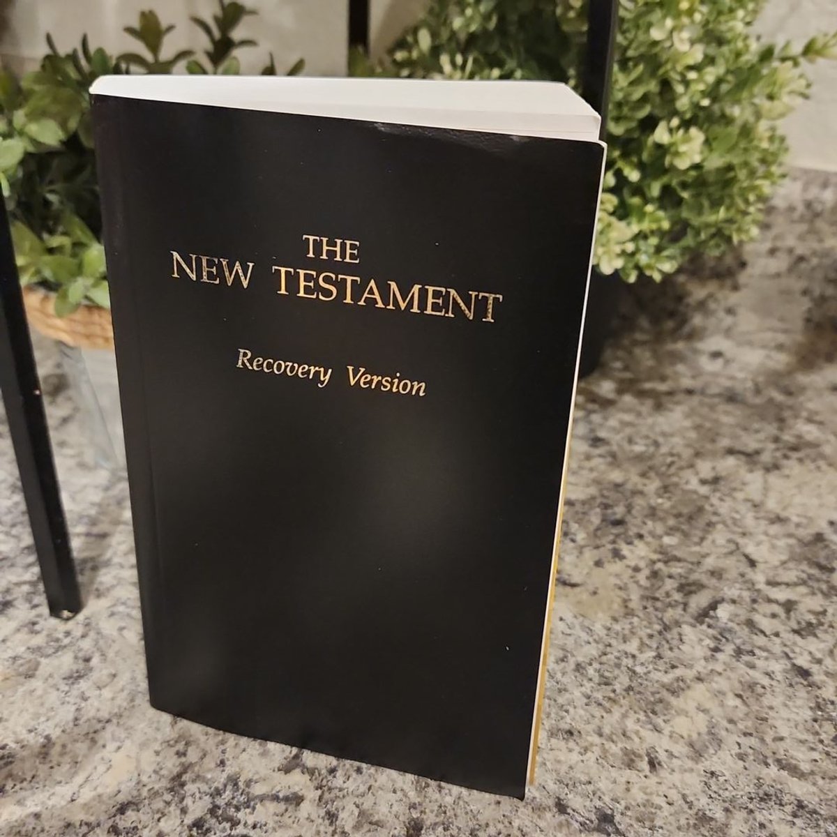 New Testament Recovery Version by Living Stream Ministry Staff