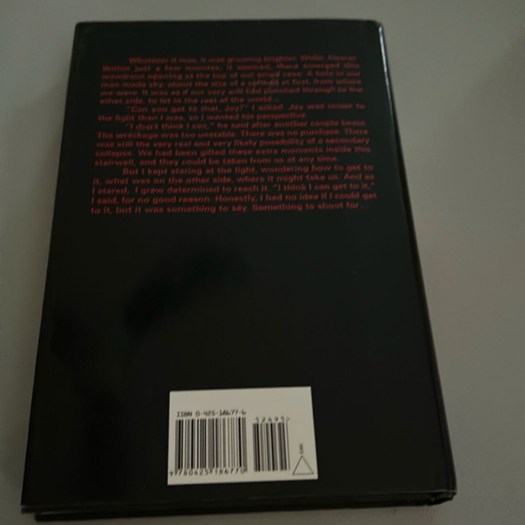 Last Man Down by Richard Picciotto, Daniel Paisner