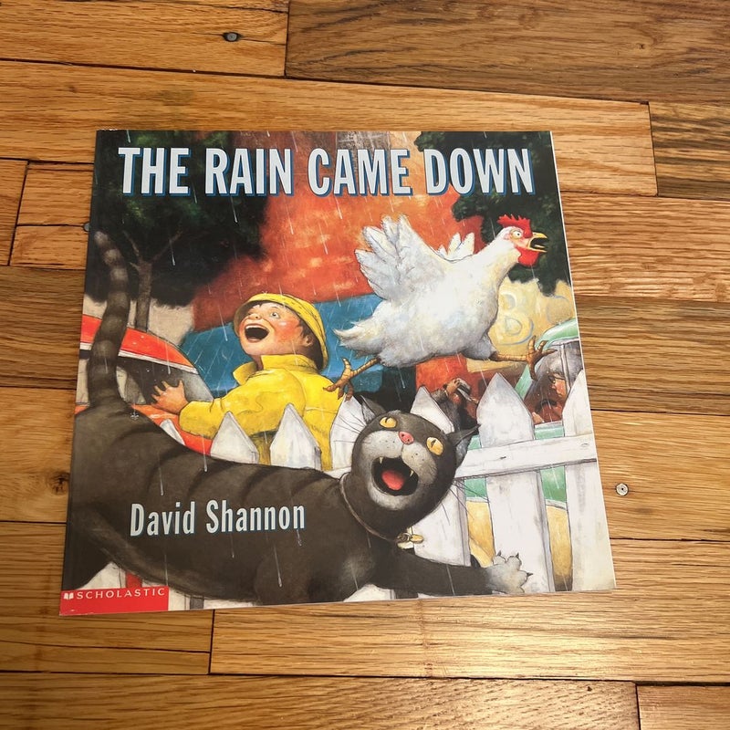 The Rain Came Down by David Shannon , Paperback | Pangobooks