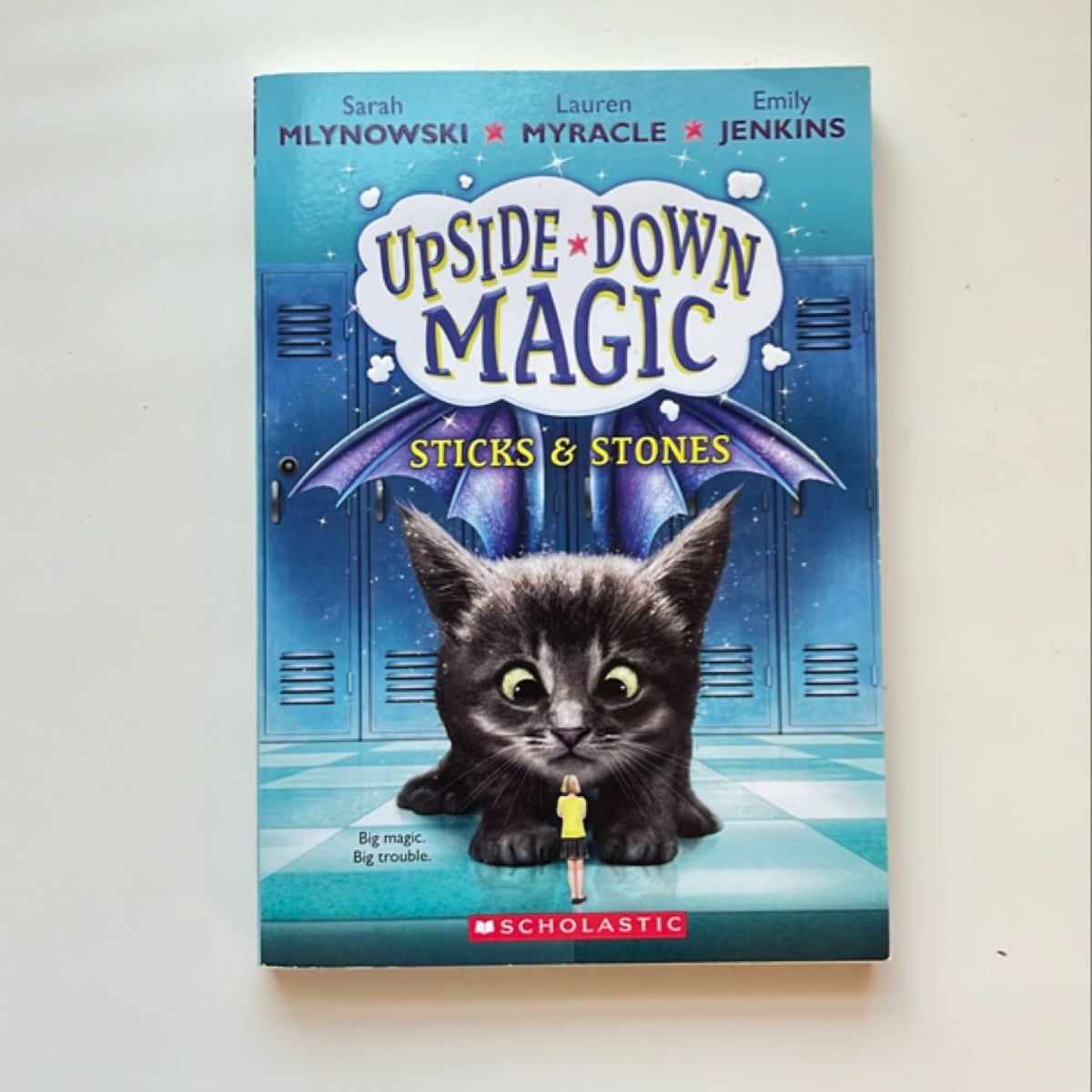 Upside Down Magic Sticks & Stones by Sarah Mlynowski, Paperback ...