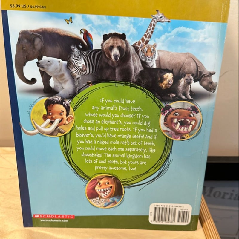 What If You Had Animal Teeth? by Sandra Markle, Paperback | Pangobooks