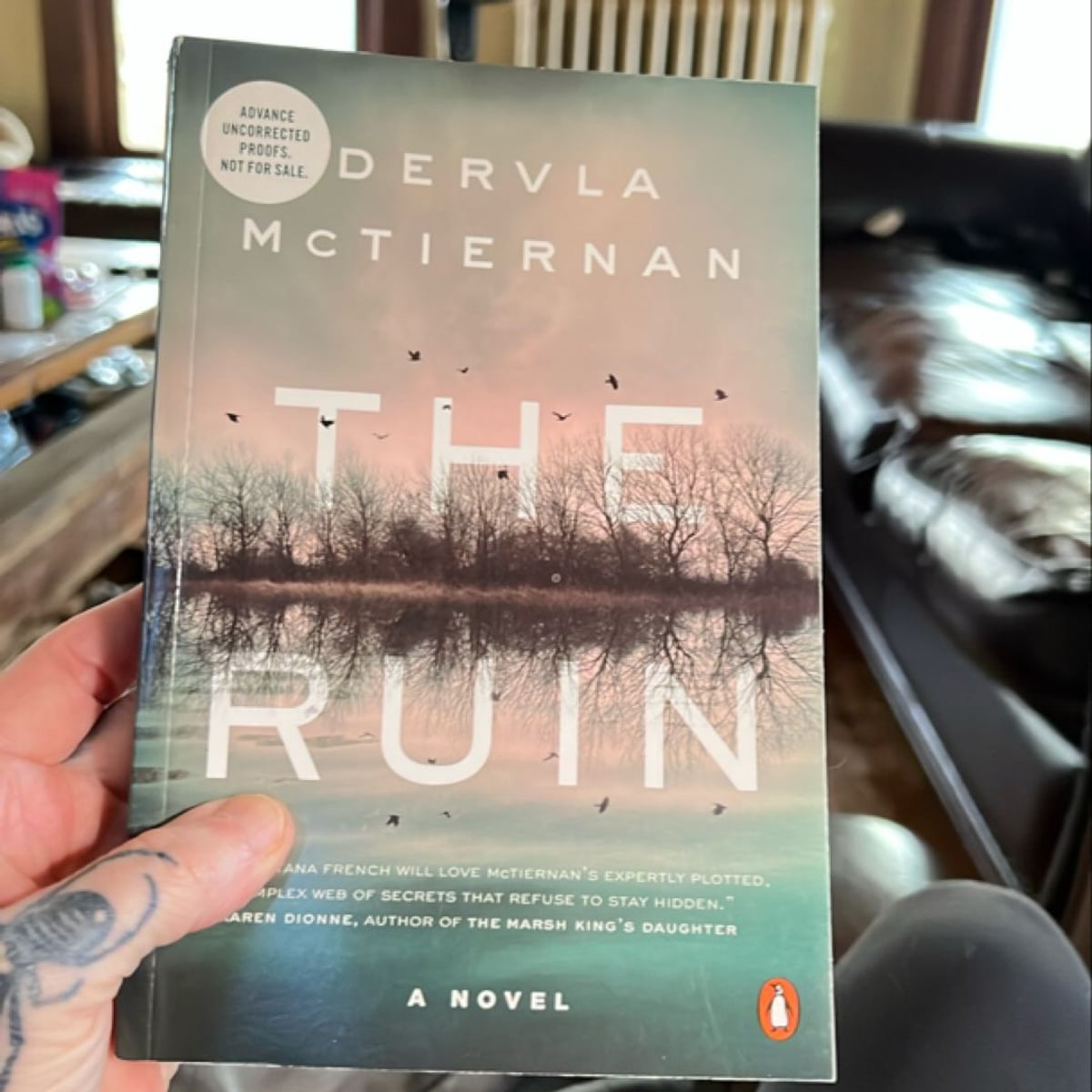 The Ruin by Dervla McTiernan