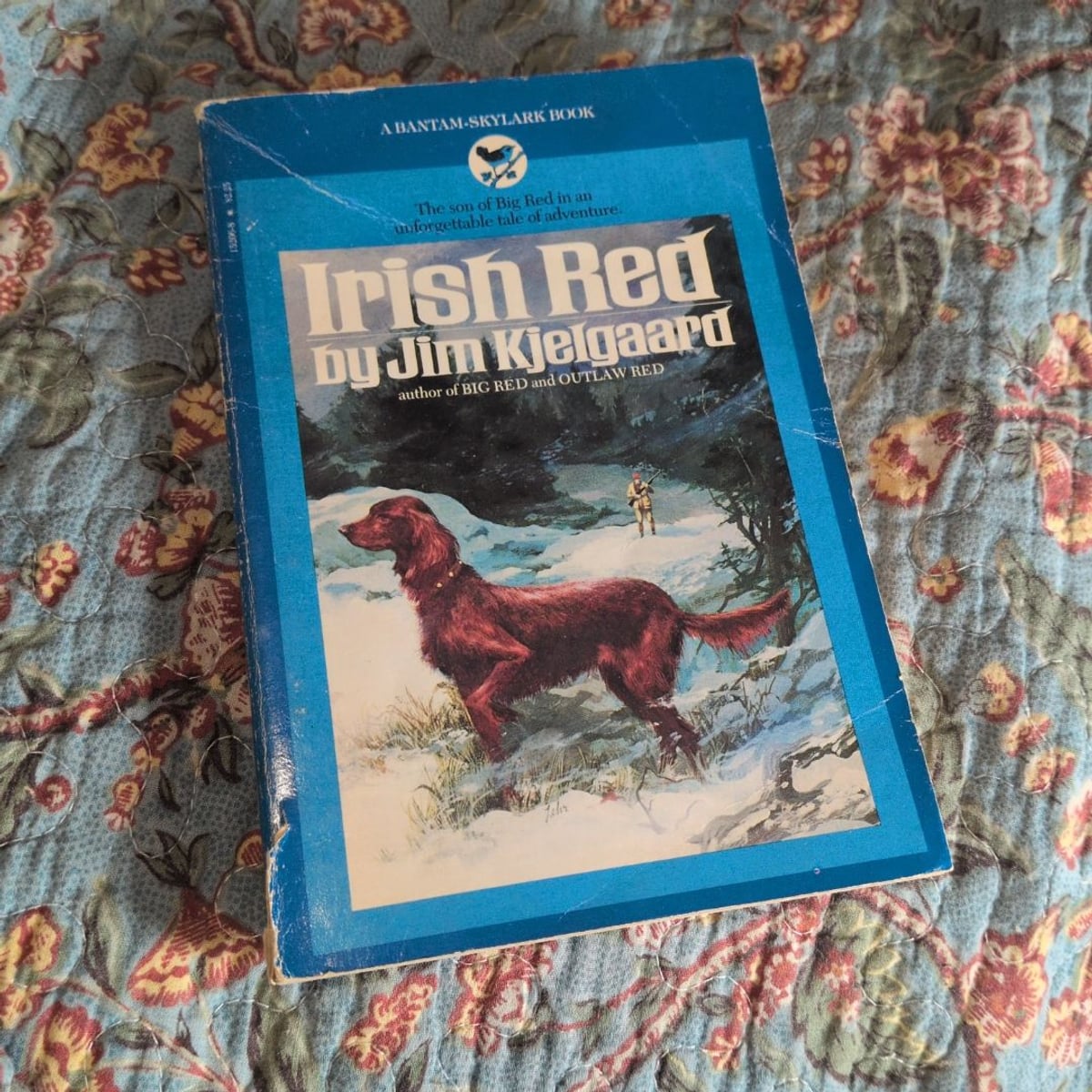 Irish Red Son of Big Red by Jim Kjelgaard
