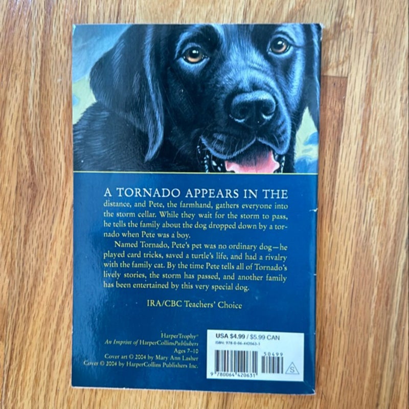 Tornado by Betsy Byars
