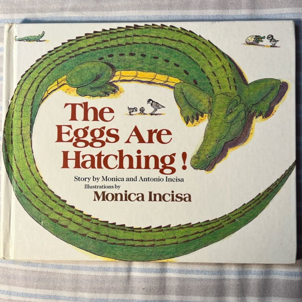 The Eggs Are Hatching! by Antonio Incisa
