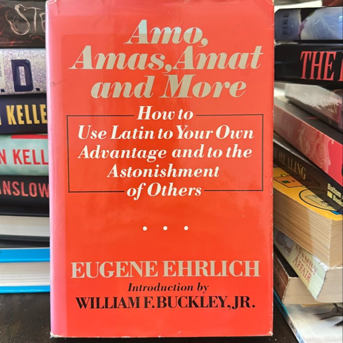 Amo, Amas, Amat and More by Eugene Ehrlich