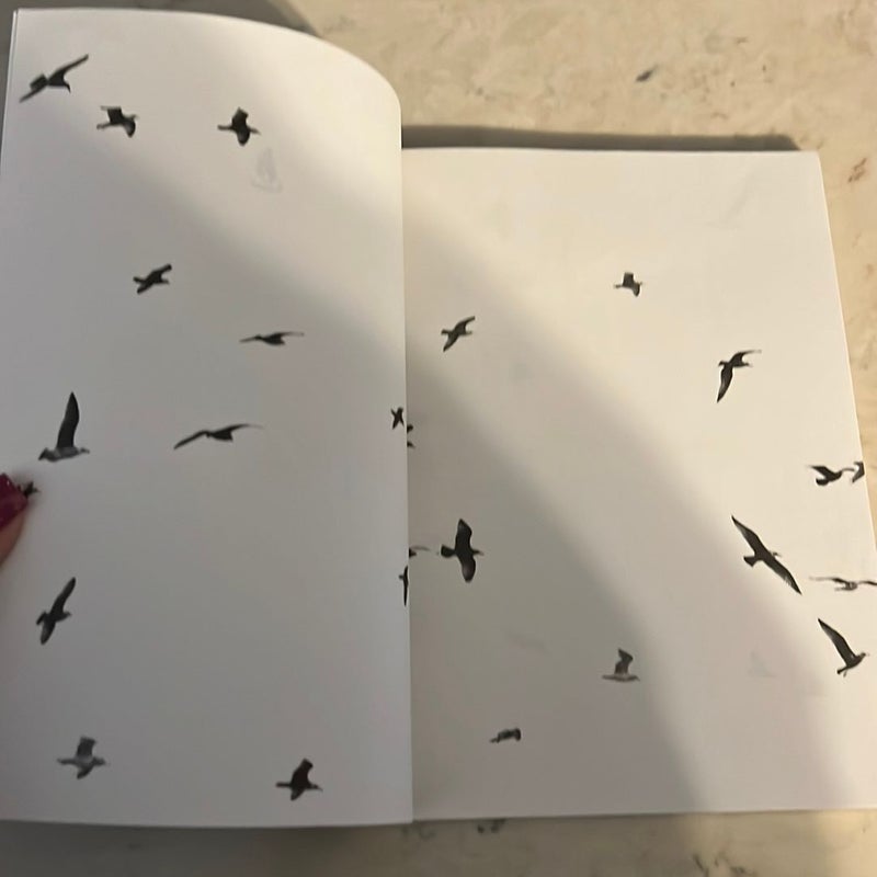 Jonathan Livingston Seagull by Richard Bach; Russell Munson (By ...