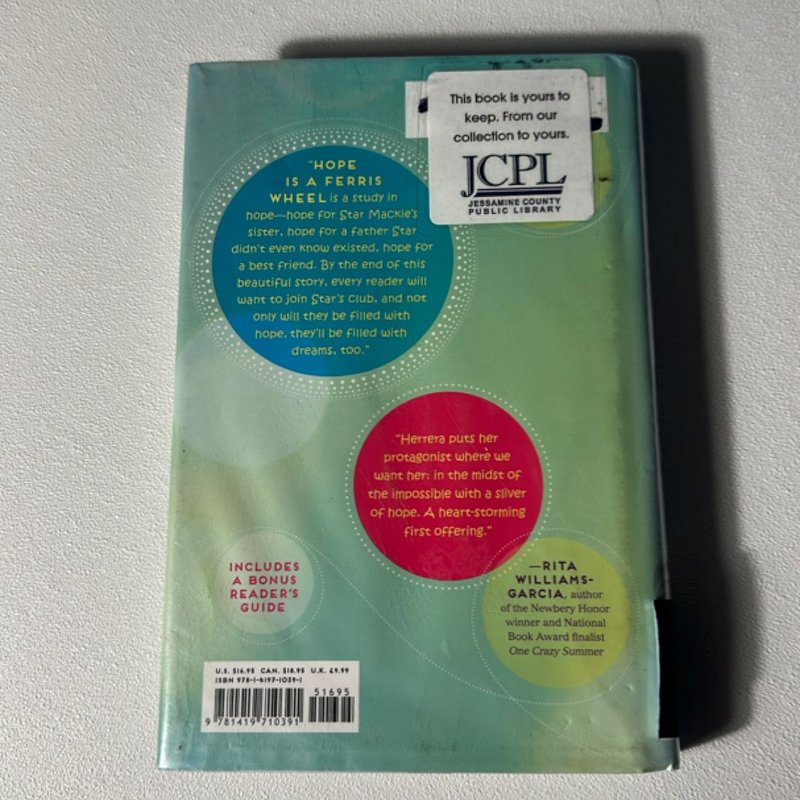 Hope Is a Ferris Wheel by Robin Herrera