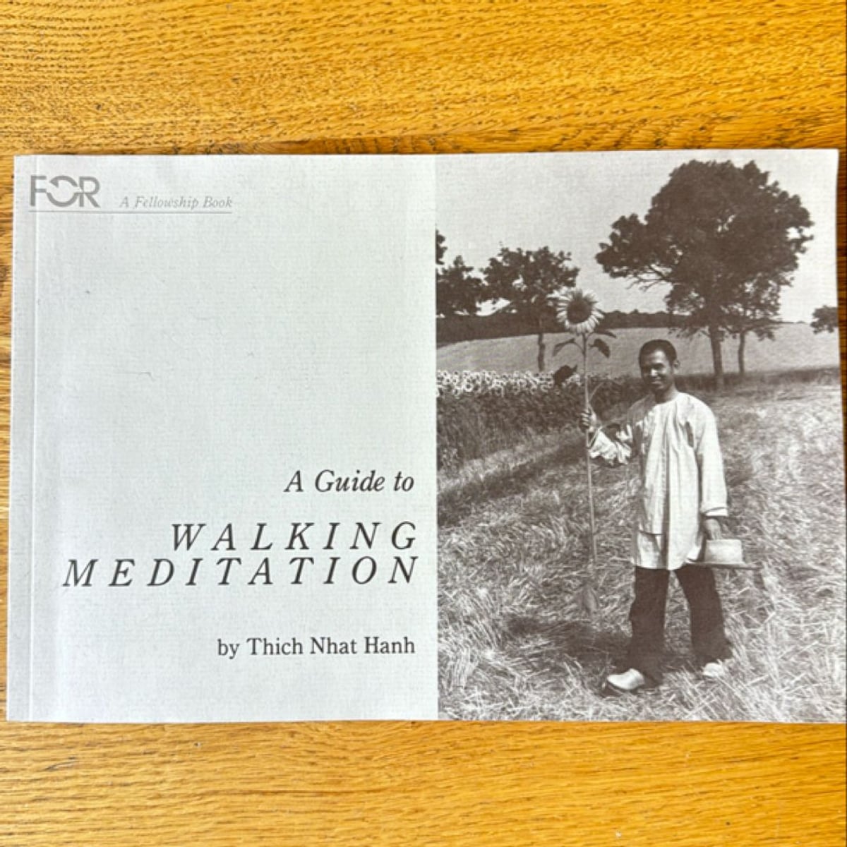 A Guide to Walking Meditation by Thich Nhat Hanh, Paperback | Pangobooks