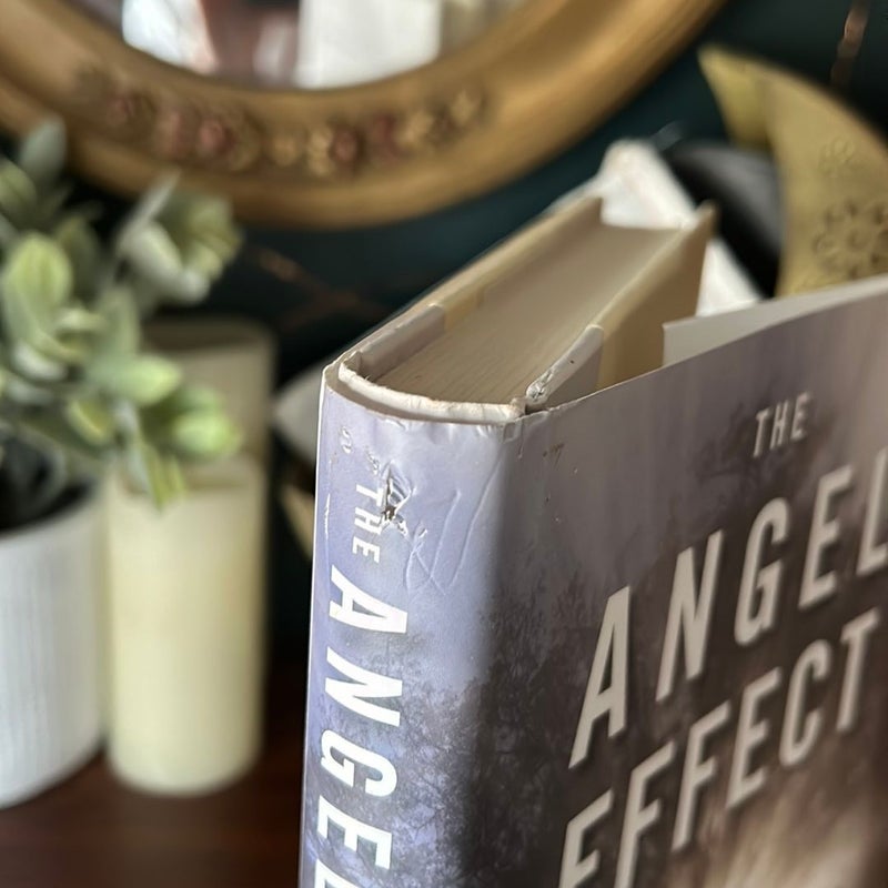 The Angel Effect by John Geiger, Hardcover | Pangobooks