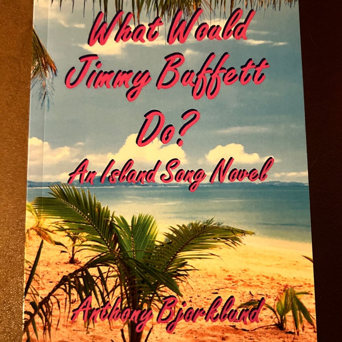 What Would Jimmy Buffett Do? by Anthony Bjorklund