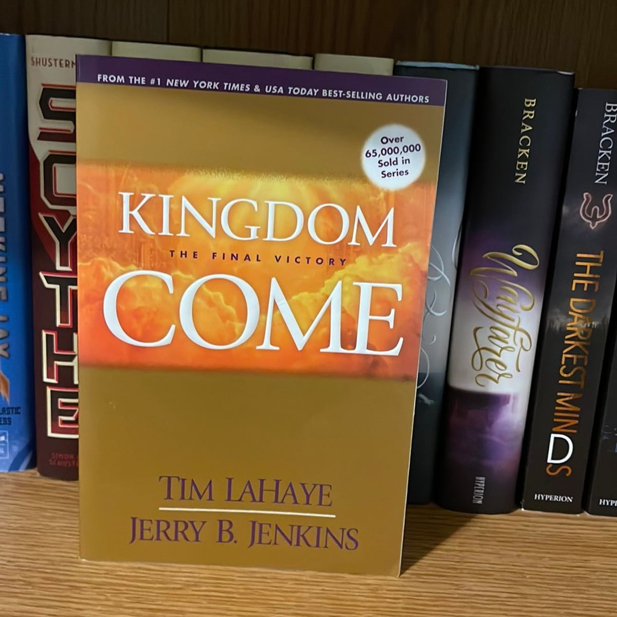 Kingdom Come by Tim Lahaye, Jerry B. Jenkins