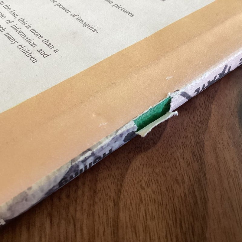 Tree in the Trail by Holling C. Holling, Hardcover | Pango Books