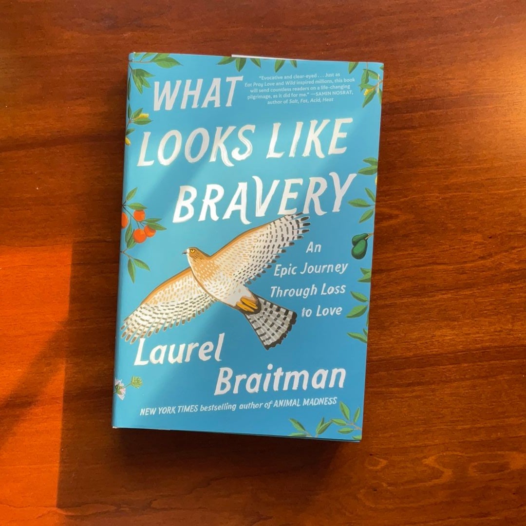 What Looks Like Bravery by Laurel Braitman