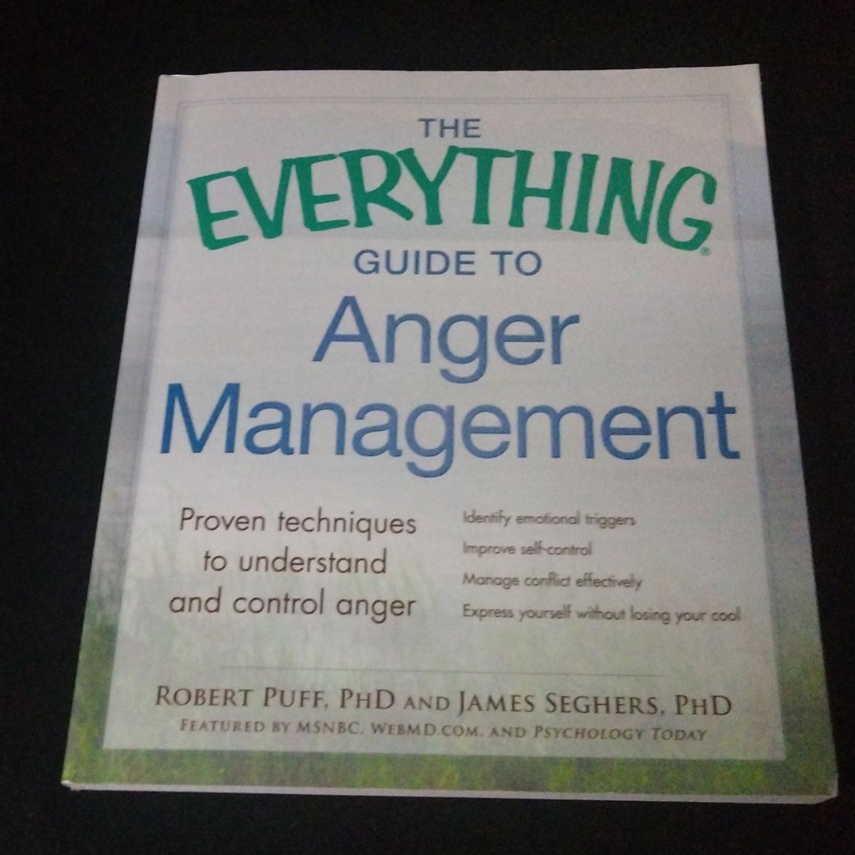 The Everything Guide to Anger Management by Robert Puff, James Seghers