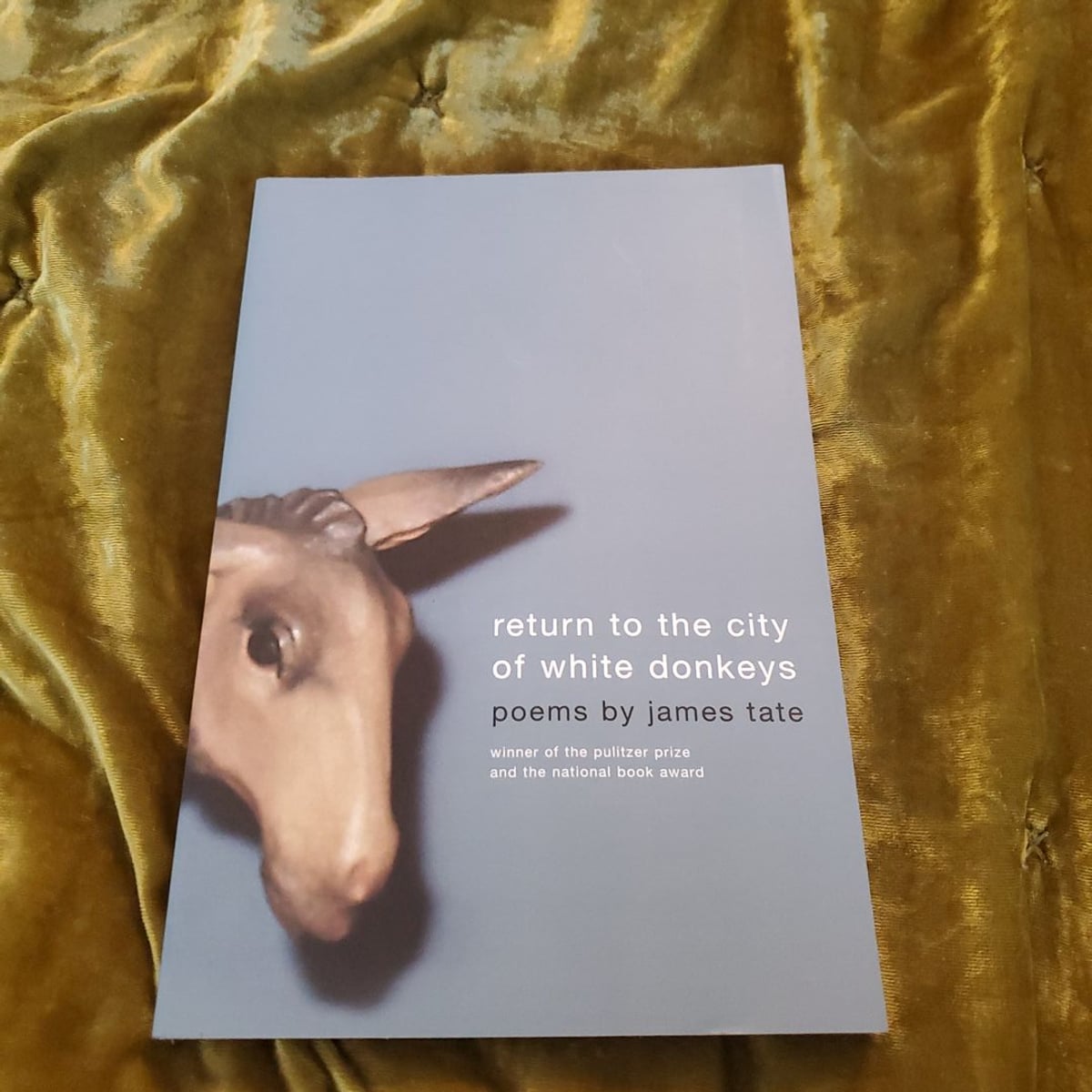Return to the City of White Donkeys by James Tate, Paperback | Pangobooks