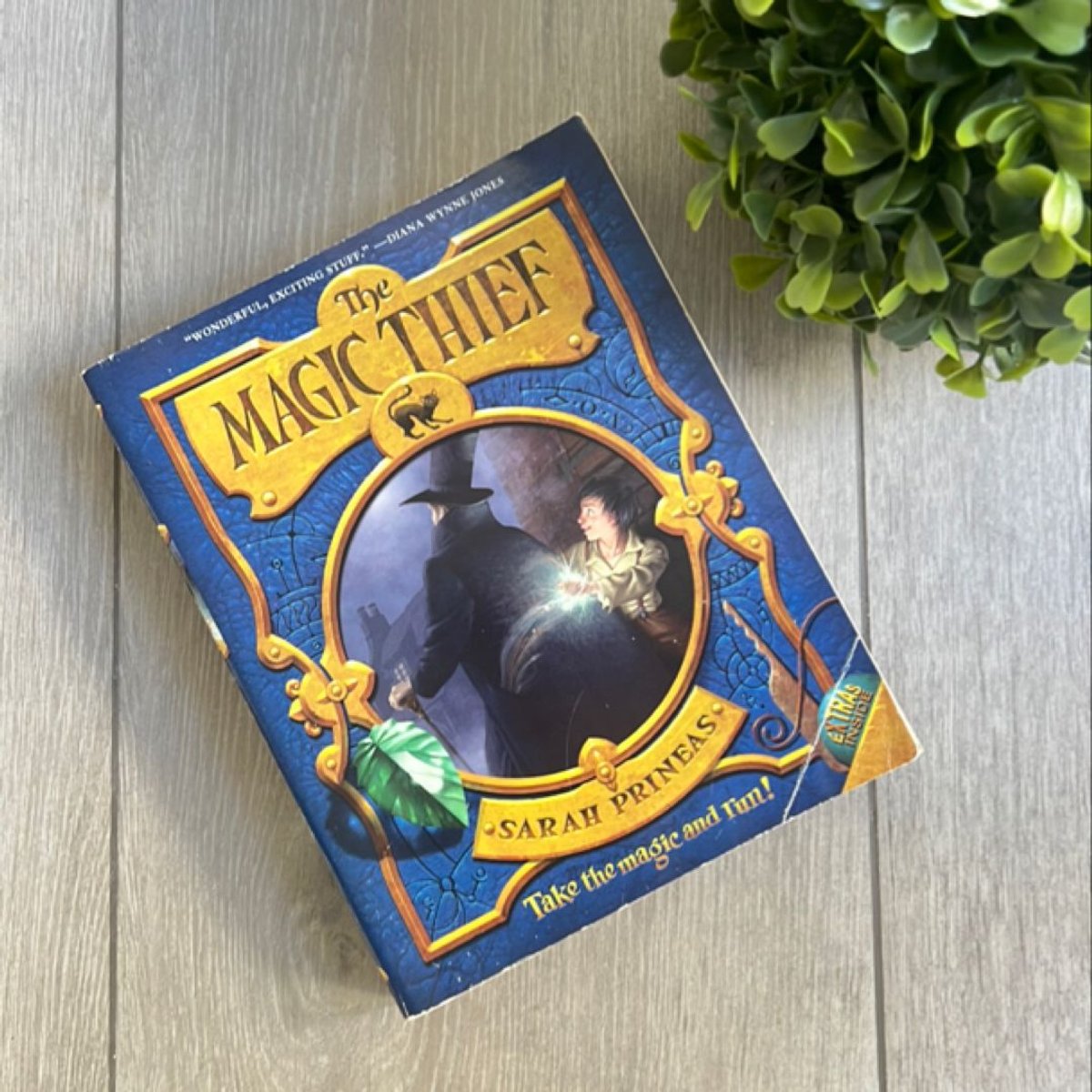 The Magic Thief by Sarah Prineas