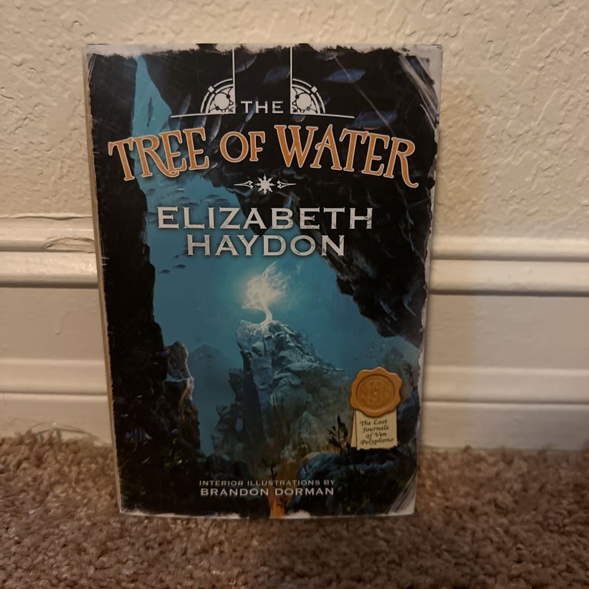 The Tree of Water by Elizabeth Haydon