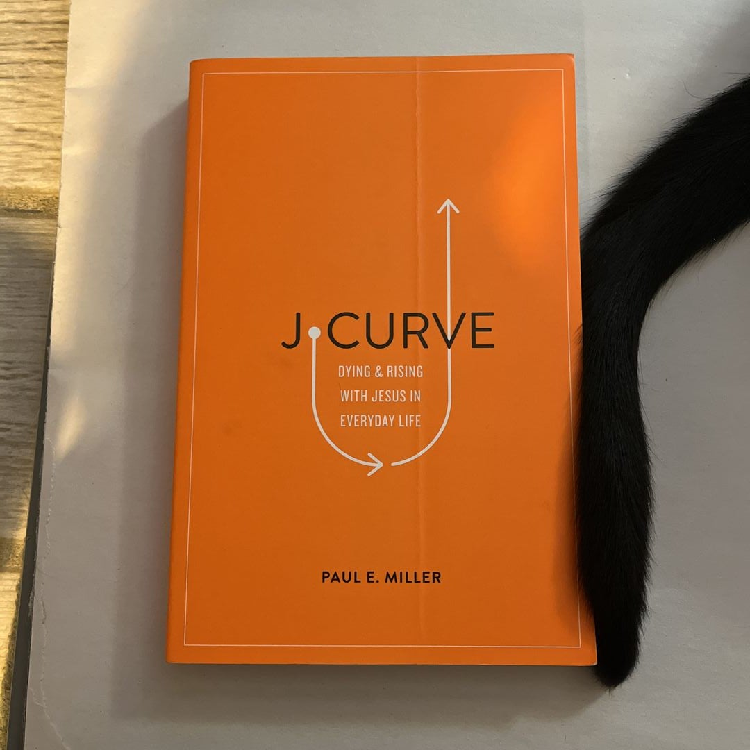 J-Curve by Paul E. Miller