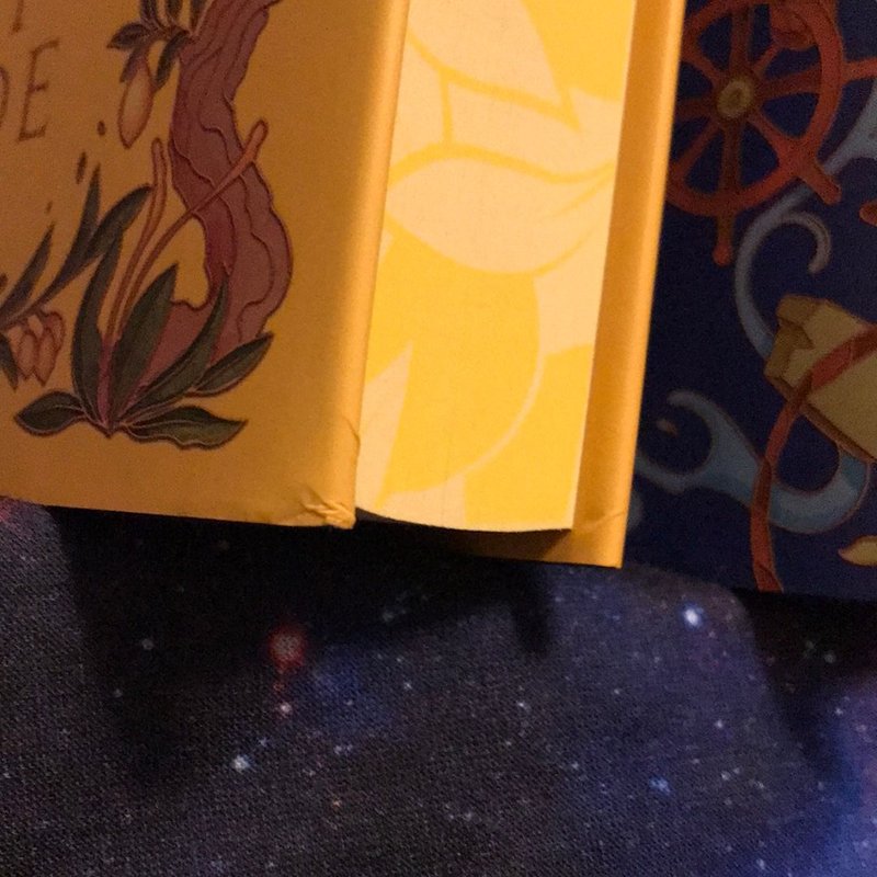 This Vicious Grace and This Cursed Light SIGNED *Fairyloot* Edition by ...