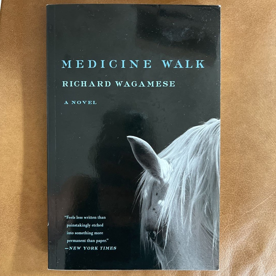 Medicine Walk by Richard Wagamese, Paperback | Pangobooks